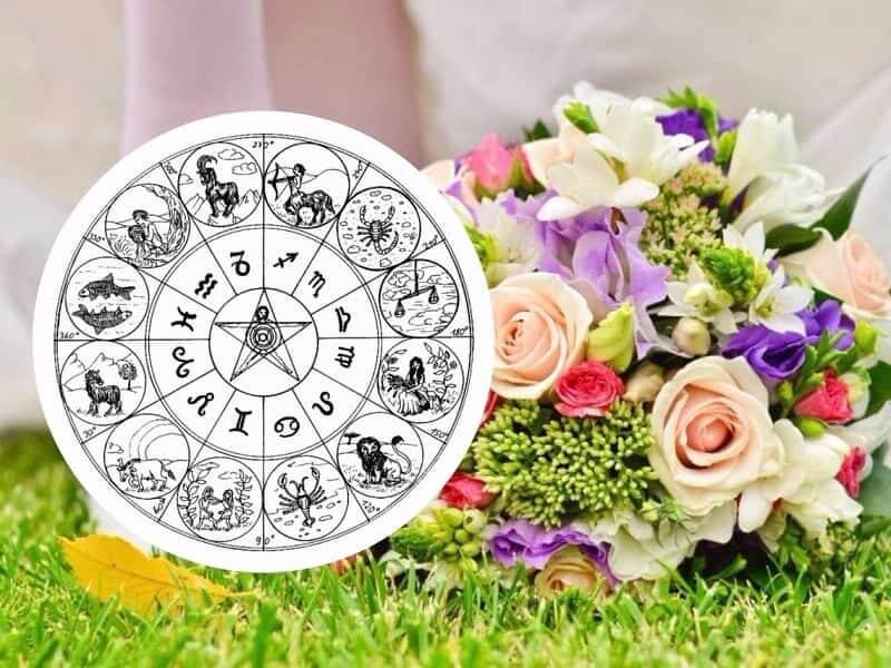 What are Zodiac Flowers and What Makes Them Special